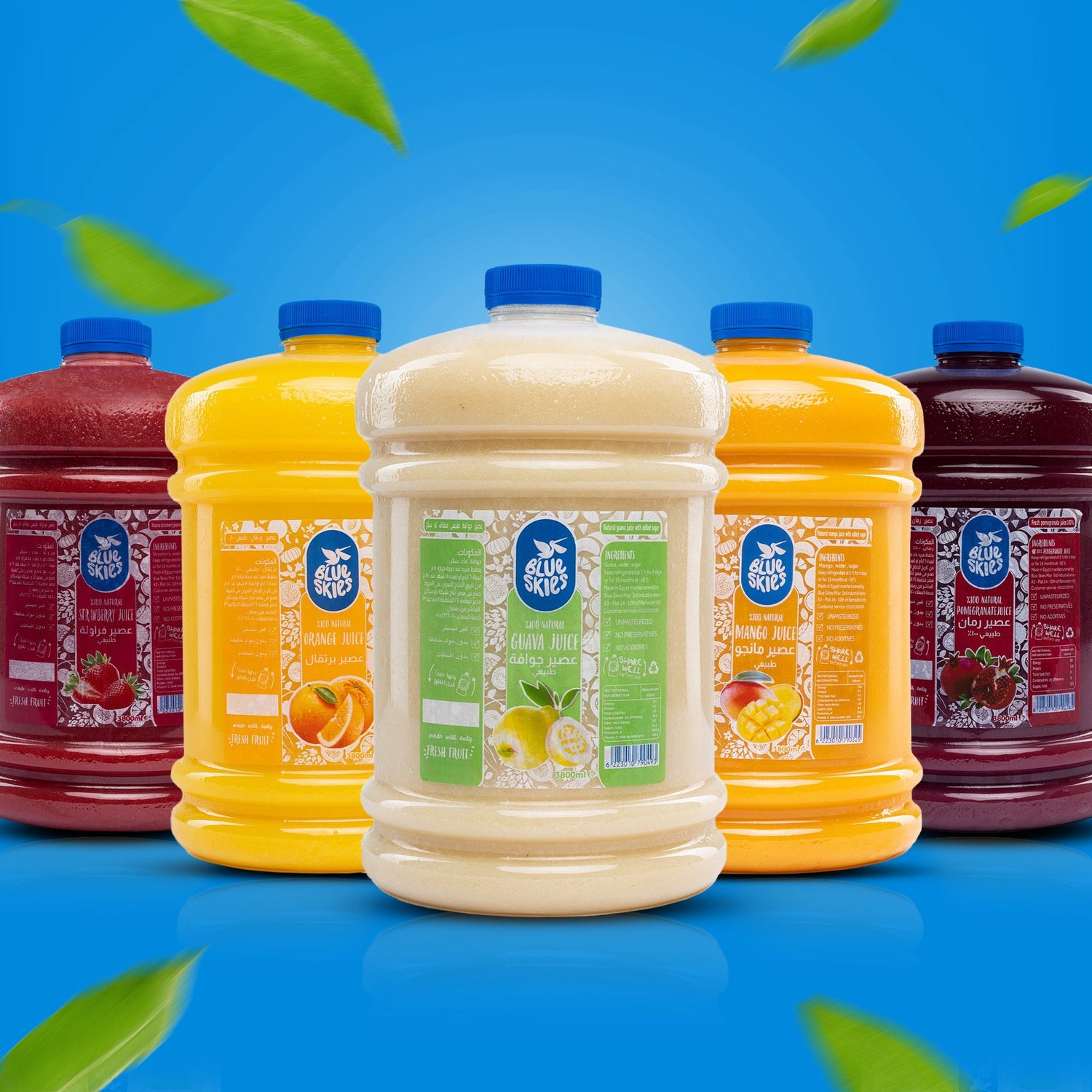 Collections – True Fruit (Fresh Juice)